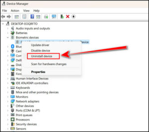 Fix: Fingerprint Reader Not Working on Windows 11 [Verified]