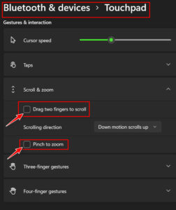 Enable Two Finger Scrolling in Windows 11 [Guideline 2024]