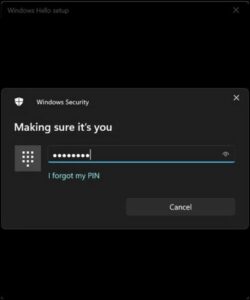 Setup Windows Hello Fingerprint in Windows 11 [Guide 2024]