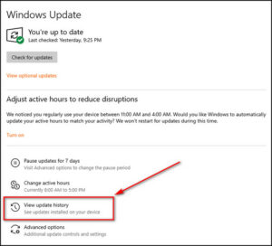 Fix Nvidia Graphics Card Not Detected in Windows 10 [2024]