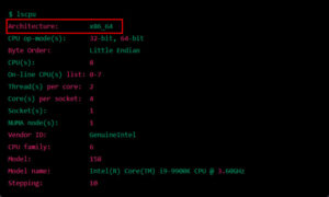 What is My Processor Architecture? [Identify Your CPU Build]