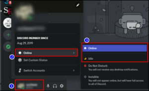 Fix Discord Custom Status Not Showing [Proven Methods]