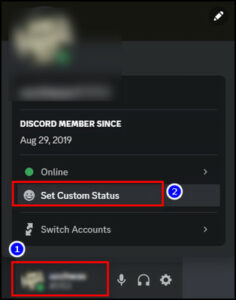 Fix Discord Custom Status Not Showing [Proven Methods]