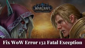 Fix WoW Error 132 Fatal Exception [For Beginners 2024]