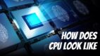 How Does CPU Look Like? [Physical Appearance of a Processor]