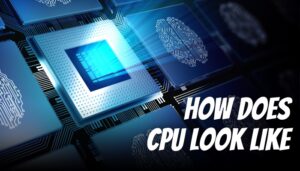 How Does CPU Look Like? [Physical Appearance of a Processor]