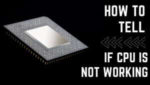 How to Tell if CPU is Not Working [Quick Walkthrough 2024]