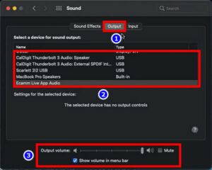 Fix Discord Headphones Not Working [PC/Mac/Mobile 2024]