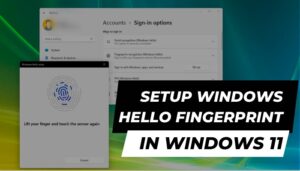 Setup Windows Hello Fingerprint in Windows 11 [Guide 2024]