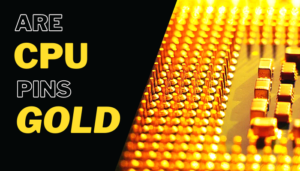 Are CPU Pins Gold? [Know the Real Truth 2024]