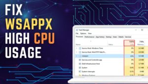 Fix Wsappx High CPU Usage [Reasons and Solutions 2024]