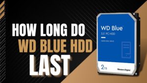 How Long Do WD Blue HDD Last? [True & Quick Explanation]