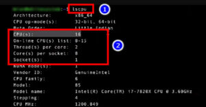 CPU Cores vs Logical Processors & Threads [Explained 2024]