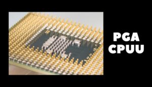 How Many Pins Does A CPU Have [Answered with Explanation]