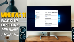 Windows 11 Backup Options Missing from PC [Solved 2024]