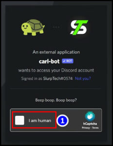 Discord Verify Member Button Meaning & Usage Instructions