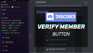 Discord Verify Member Button Meaning & Usage Instructions