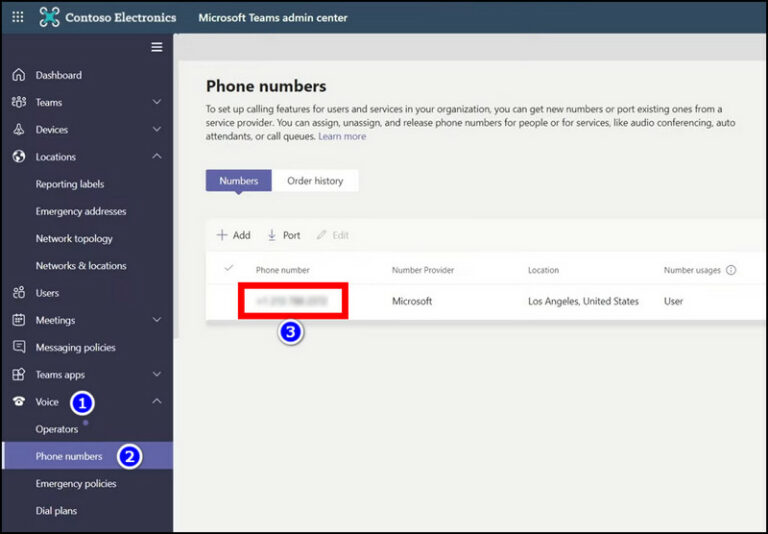 How to Make a VoIP Call on Microsoft Teams [Guide 2024]