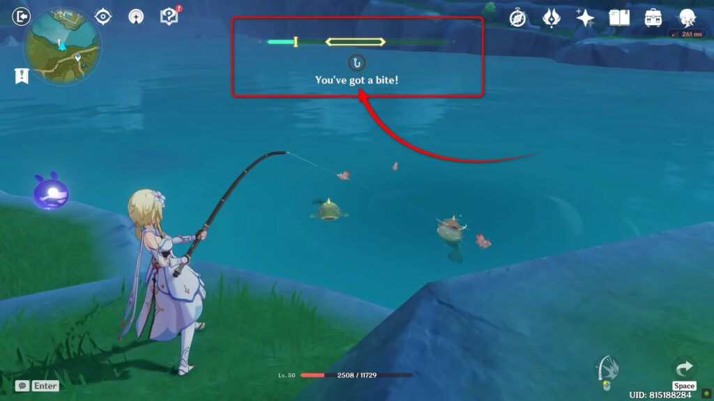 All Fish And Baits List in Genshin Impact [Fishing Guide]